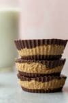 Sunbutter Cups - Peanut Free Dessert - The Travel Palate