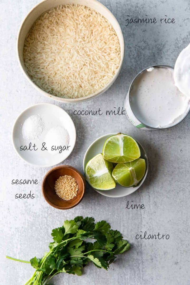 Instant Pot Coconut Jasmine Rice - The Travel Palate
