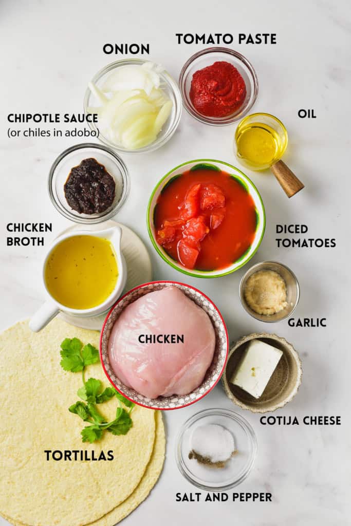 Authentic Chicken Tinga (Tinga de Pollo) - The Travel Palate