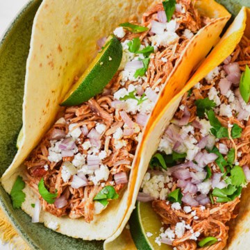 Authentic Chicken Tinga (Tinga de Pollo) - The Travel Palate