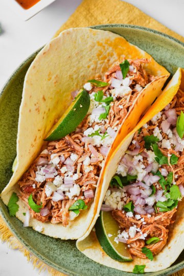 Authentic Chicken Tinga (Tinga de Pollo) - The Travel Palate