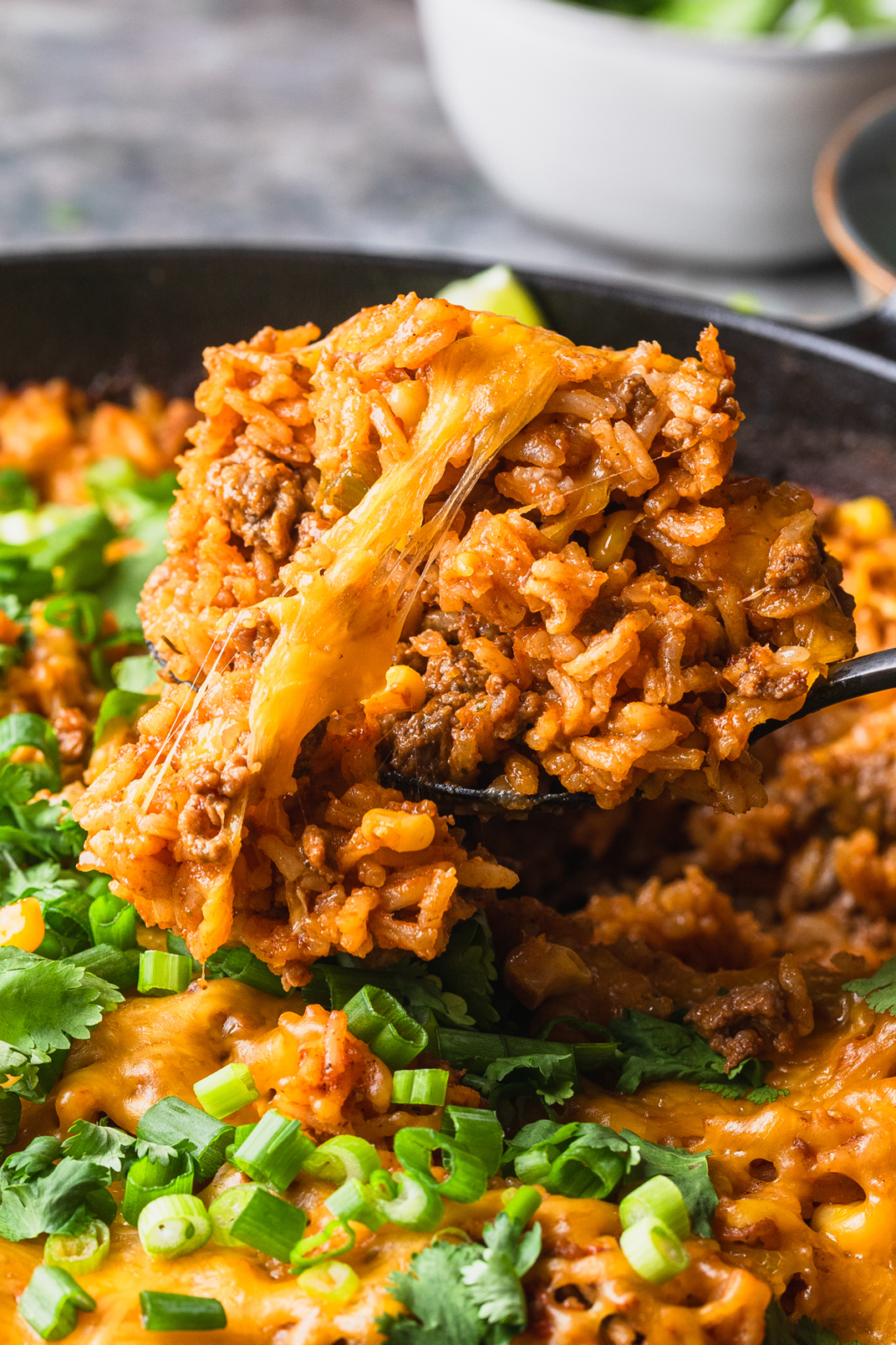 Ground Beef Salsa Rice - The Travel Palate