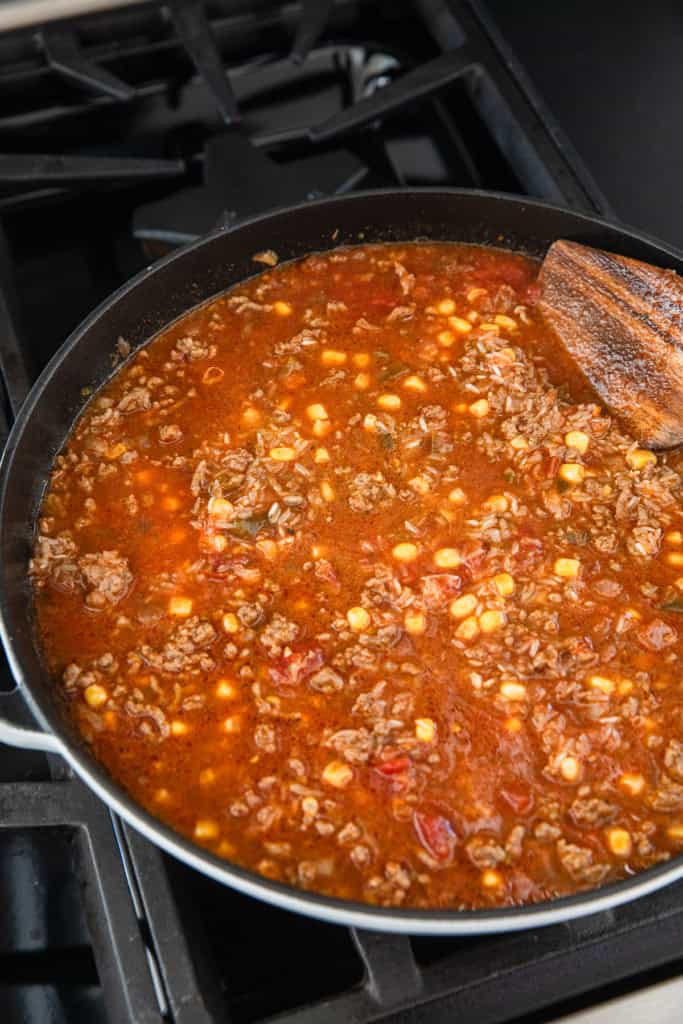 Ground Beef Salsa Rice - The Travel Palate