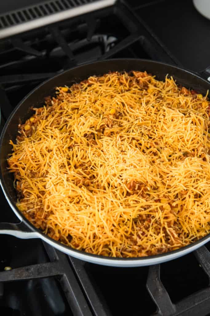 Ground Beef Salsa Rice - The Travel Palate