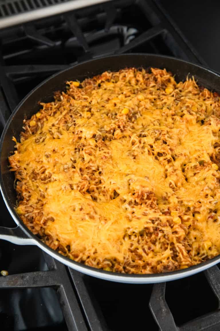 Ground Beef Salsa Rice - The Travel Palate