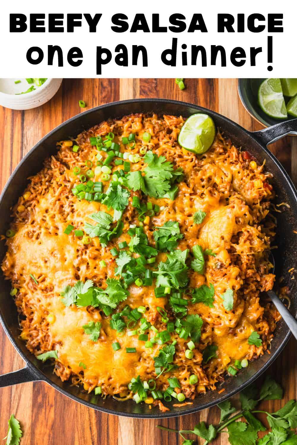 Ground Beef Salsa Rice - The Travel Palate